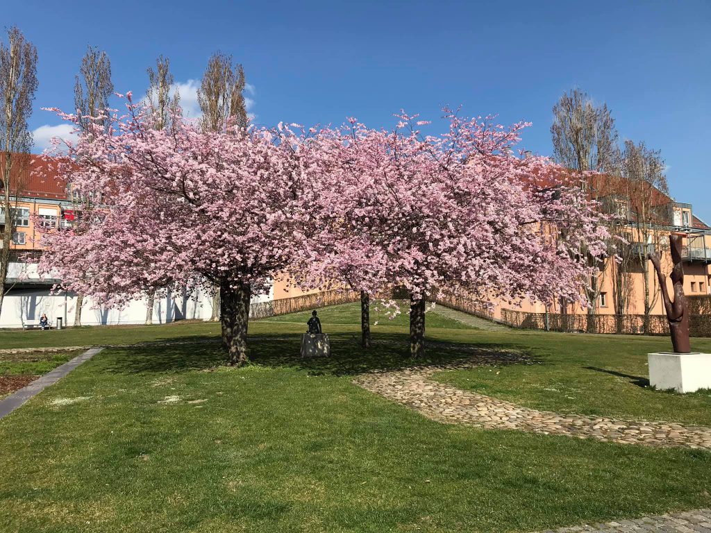 Aktuelles | Rechtsanwältin Christiane Bohn
